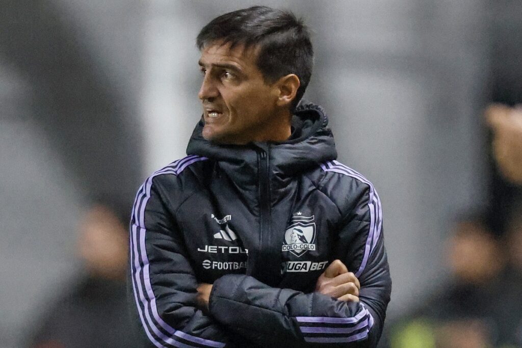 Pablo Ricchetti: "Hubo falta de coherencia en las decisiones referiles ...